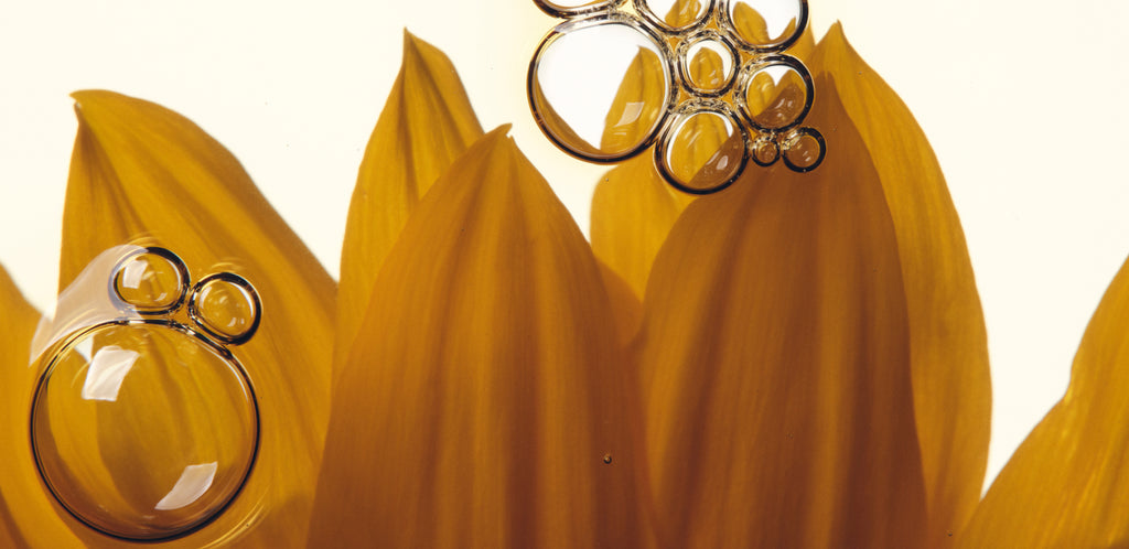 The Root Complex | The Root Project