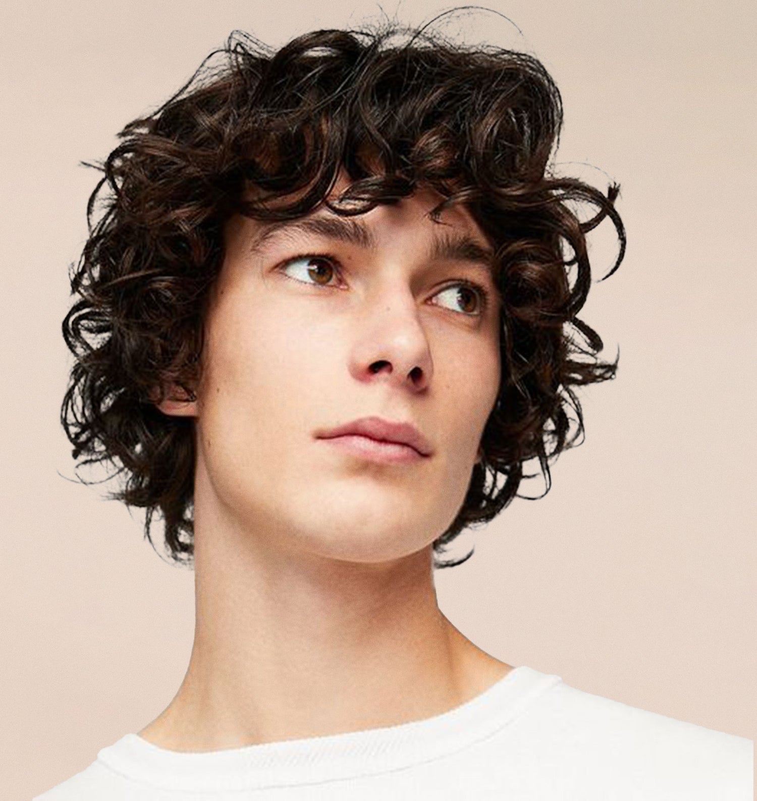 Essential Collection – The Root Project