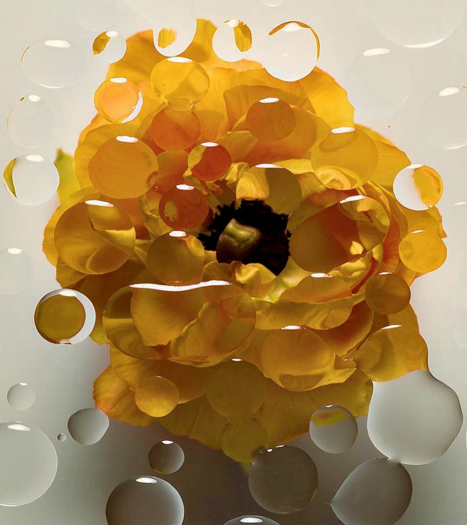 Restorative Hair Treatment – The Root Project